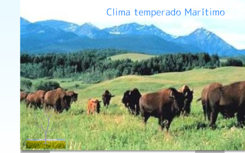 clima temperado marítimo by David Moreira on Prezi
