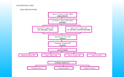 MALE MEDICINE WARD (ORGANIZATION CHART) by jordan jade estebe on Prezi
