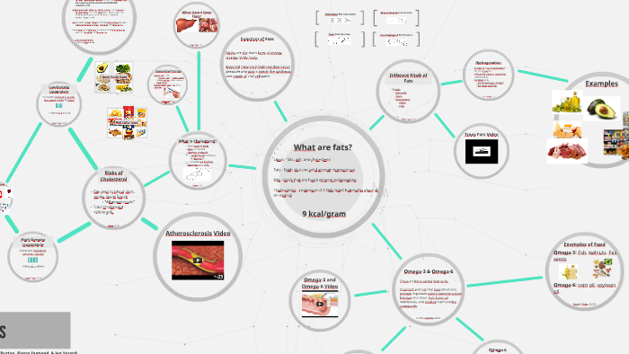 Fats by Wren Burton on Prezi