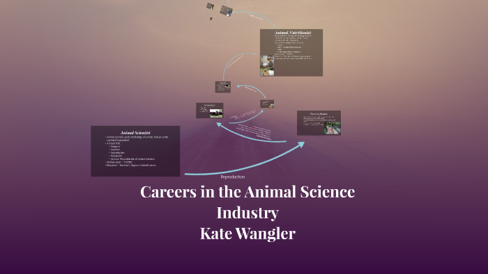 Careers in the Animal Science Industry by Kate Wangler on Prezi