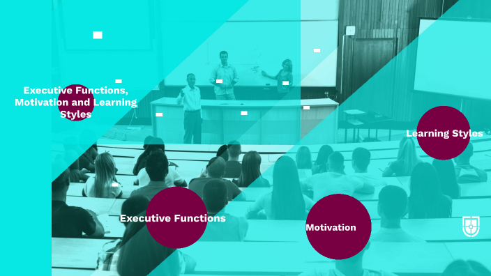 Mind Map Executive Functions,Motivation and Learning Styles by Don ...