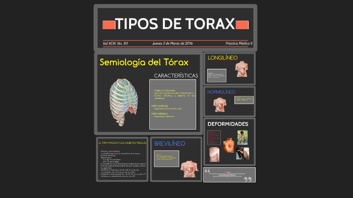 TIPOS DE TORAX by Alonso Silverio on Prezi