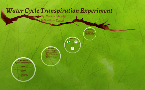 Water Cycle Transpiration Experiment by Marvin Librado on Prezi