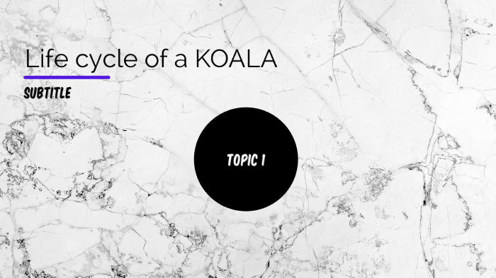 Life Cycle Of A Wombat By L B On Prezi