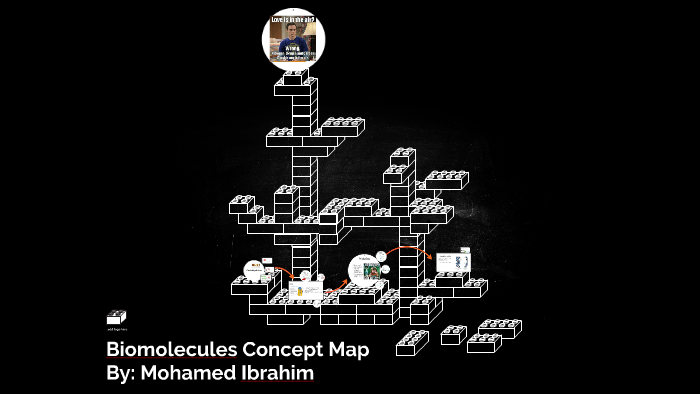 Biomolecules Concept Map by Mohamed Ibrahim on Prezi