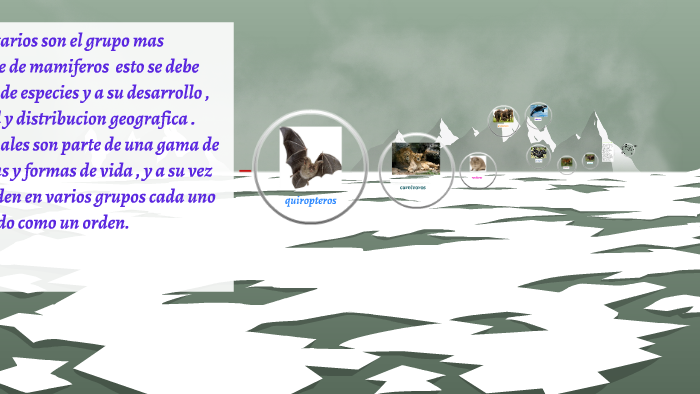 clases de euterios o placentarios by Jhoisy Teran on Prezi