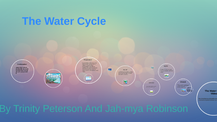The Water Cycle by trinity peterson on Prezi