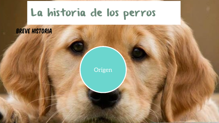 La historia de los perros by Antuane Barrera Apcho on Prezi