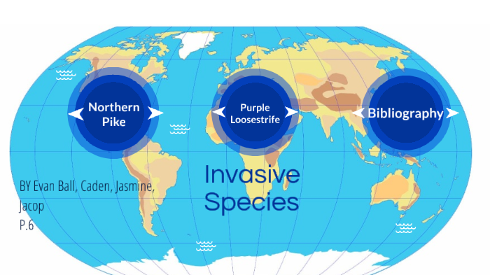 Invasive Species by Evan Ball - MRH Student on Prezi