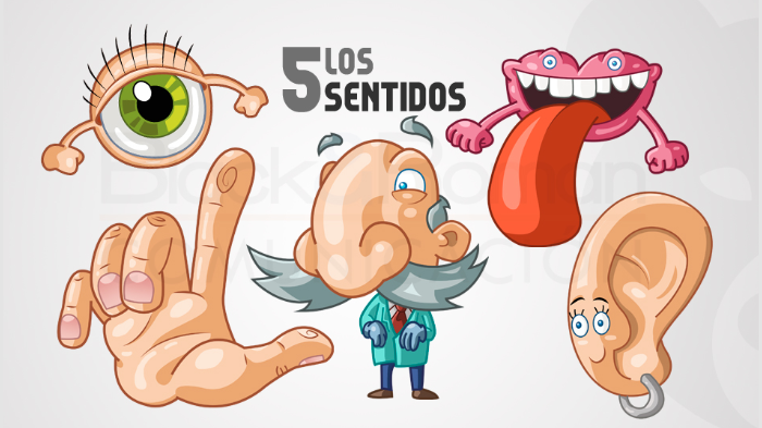 LOS 5 SENTIDOS by rosa añihual on Prezi