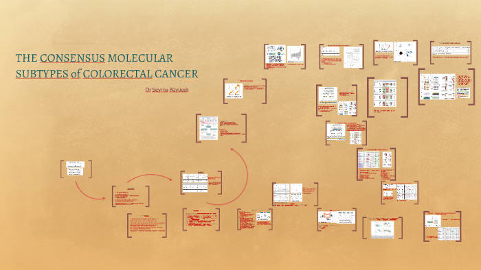 The Consensus Molecular Subtypes Of Colorectal Cancer By Şeyma Büyücek On Prezi
