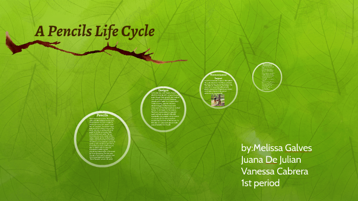 A Pencils Life Cycle by Vanessa Cabrera