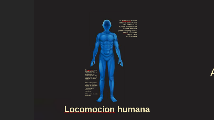 Fase 2 - Locomocion humana by MATEO VELEZ on Prezi