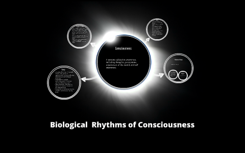 Biological Rhythms of Consciousness by Adam Kleman on Prezi