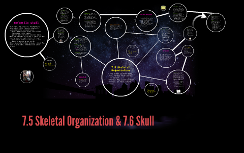 7.5 Skeletal Organization by Rachel Saporito on Prezi