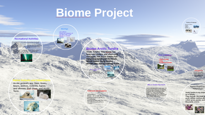 Biome Project by Aytak Vomilk on Prezi