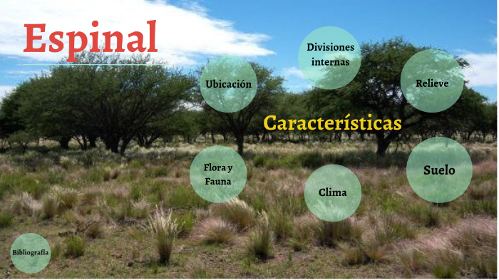 Espinal by Guido Cairo on Prezi