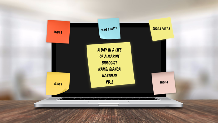 A day in a life of a marine biologist by Bianca naranjo on Prezi