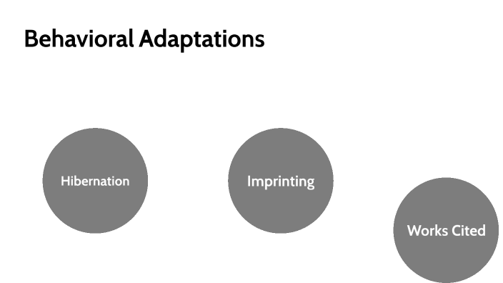 Module Eleven Lesson Two Pathway Three Activity by J K on Prezi