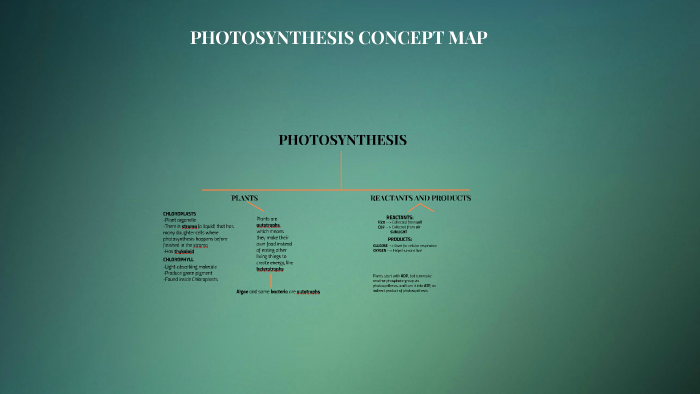 PHOTOSYNTHESIS CONCEPT MAP by Maya Landgraf on Prezi