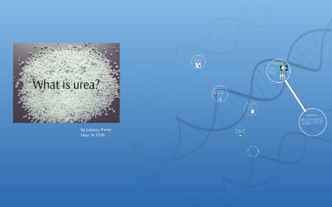 What is urea? by Sabrina Zhong on Prezi