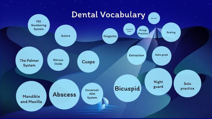 Dental Vocabulary by Hannah Horak on Prezi