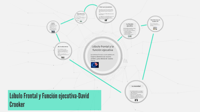 Lóbulo frontal y la función ejecutiva by David Crooker on Prezi