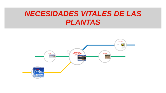 NECESIDADES VITALES DE LAS PLANTAS by walter quiroga on Prezi