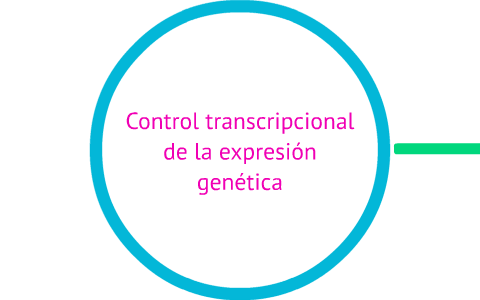 Control transcripcional by Nelly Carmona Hernández