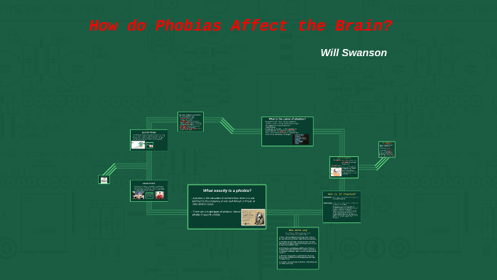 How do Phobias Affect the Brain? by Will Swanson on Prezi