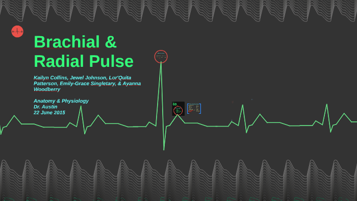 Brachial & Radial Pulse by Emily-Grace Singletary on Prezi