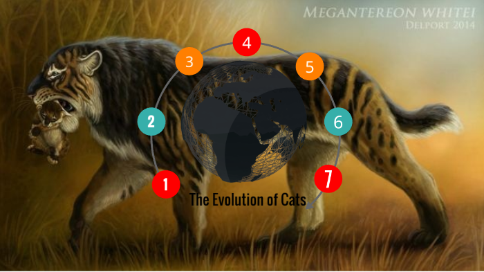 The Evolution of Cats by Peter Herzog on Prezi