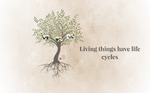 Living things have life cycles by Olika Tavake