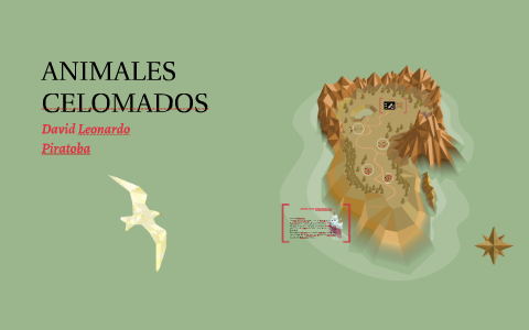 ANIMALES CELOMADOS by David Leonardo Piratoba Cardenas on Prezi