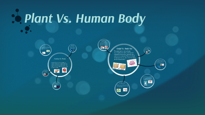 Plant Vs. Human Body by Allen Oleta on Prezi