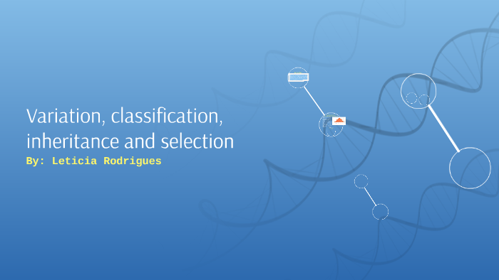 Variation, classification, inheritance and selection by Leticia ...