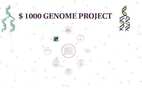 $ 1000 GENOME PROJECT by Amaranth Amaranth on Prezi