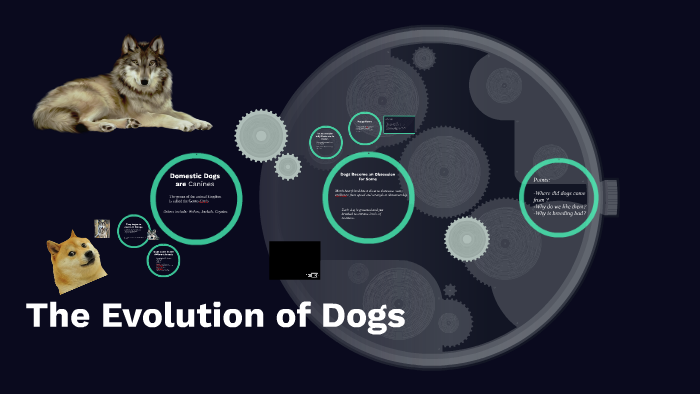 The Evolution of Dogs by Nathan Rodriguez on Prezi