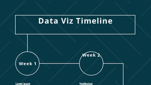 Data Viz Timeline by Molly O'Doherty on Prezi Design