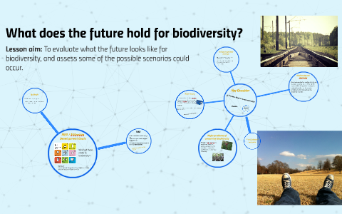 Lesson 12 - What does the future hold for biodiversity? by Luke Hopper ...