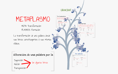 Metaplasmo by Keyla Sarmiento on Prezi