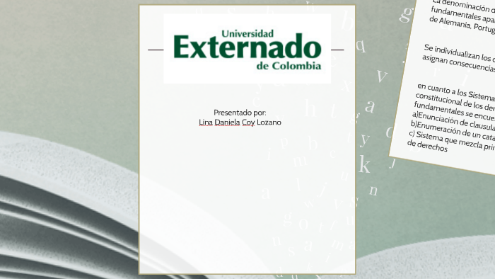 DERECHOS FUNDAMENTALES by Daniela Coy