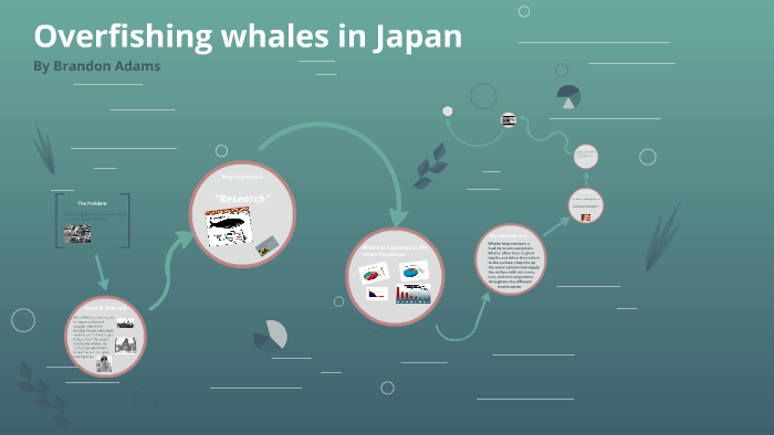 Overfishing in Japan by Brandon Adams on Prezi