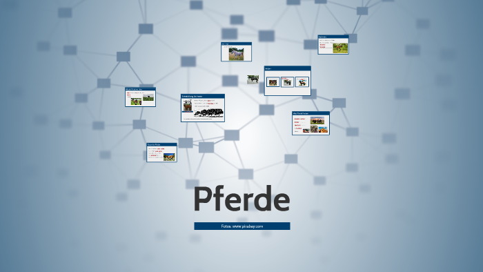 Pferde by Brigitte Brunner on Prezi