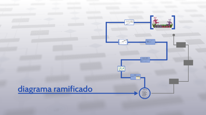 diagrama ramificado by loana curiel on Prezi