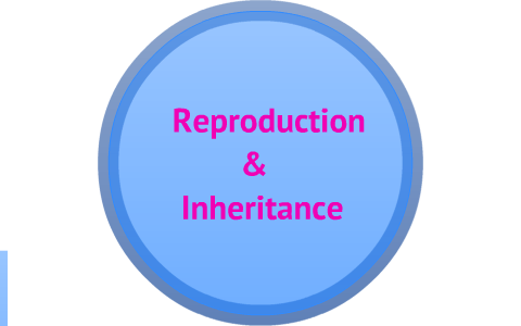 Reproduction & Inheritance by Tommy Blackley on Prezi