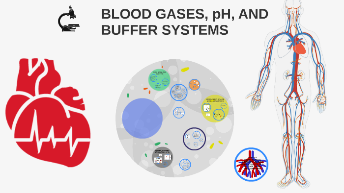 BLOOD GASES, pH, AND BUFFER SYSTEMS by Samantha Relos on Prezi