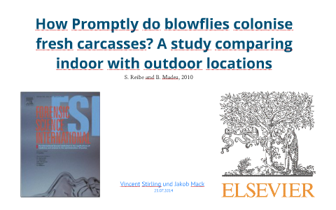 How Promptly do blowflies colonise fresh carcasses? A study by Jakob ...