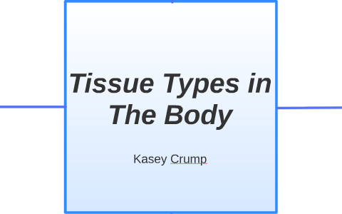 Tissue Types in The Body by Kasey Crump on Prezi