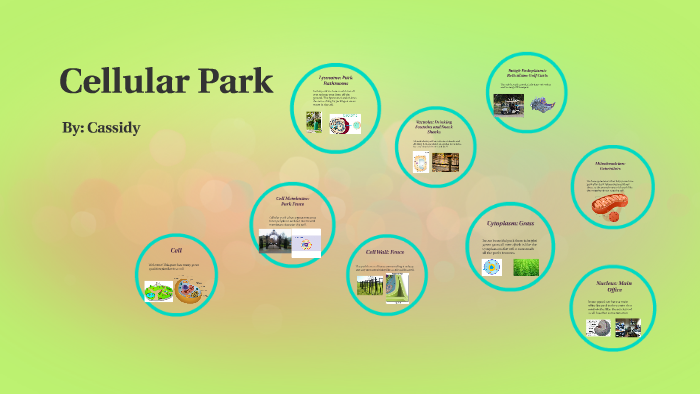 The Cell: Park by Cassidy Hobbs on Prezi
